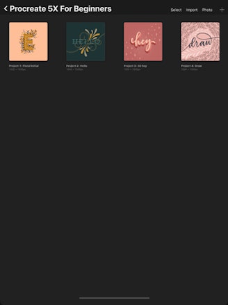 Procreate 5X for Beginners | Every-Tuesday Courses